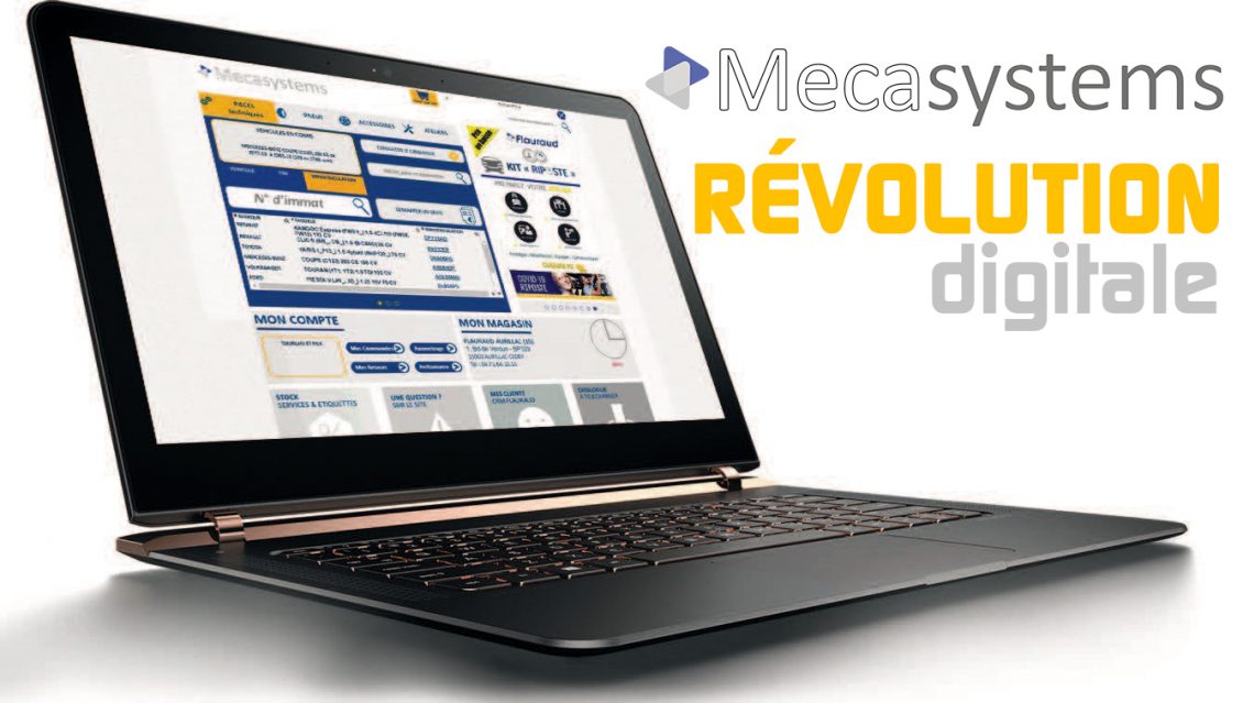 Mecasystems 2020 : nouvelle version - Flauraud